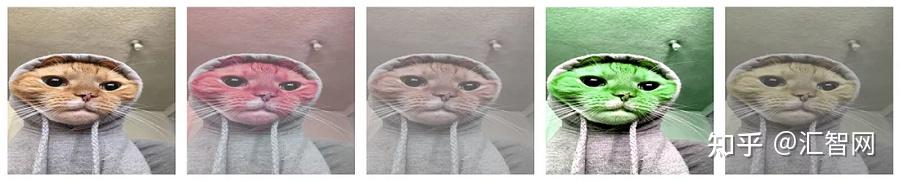 PyTorch微调终极指南3：使用数据增强 - 知乎