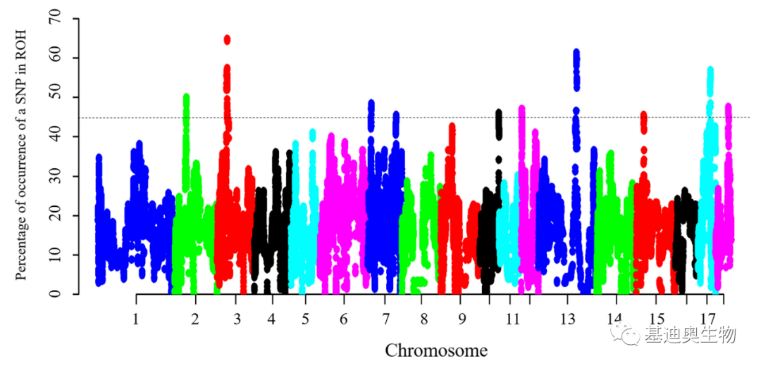 更精准的近交评估分析策略—ROH介绍及应用 - 知乎