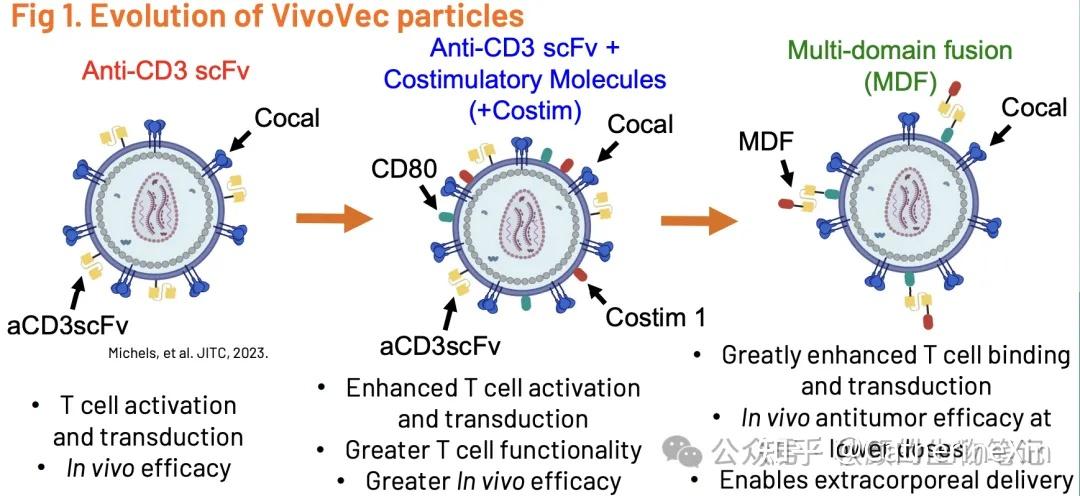 Umoja Biopharma的 VivoVec™ 基因递送平台: 专注于CAR-T 细胞疗法 - 知乎