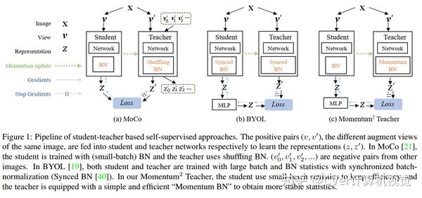 旷视提出Momentum^2 Teacher：用于自监督学习的具有动量统计的动量老师 - 知乎