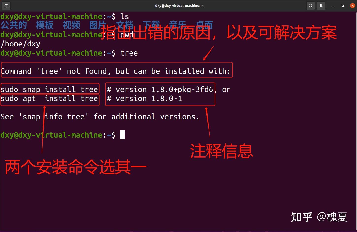 Linux命令(一)-查看目录 - 知乎