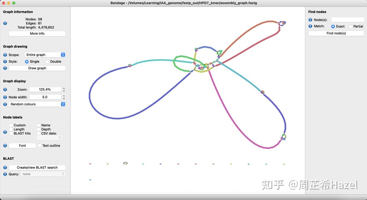 生信log21|基因组成圈了吗？-拼接路径可视化软件Bandage结果详解 - 知乎