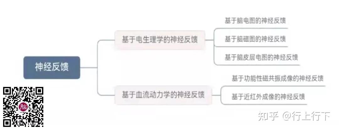 神经反馈丨关于脑磁图（MEG）的那点事 - 知乎
