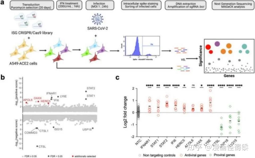 怎样提高悬浮细胞的siRNA转染效率？ - 知乎