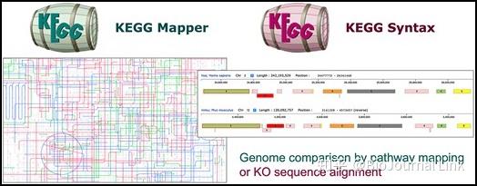 数据库 | NAR | KEGG：生物系统数据库作为真实世界的模型 - 知乎