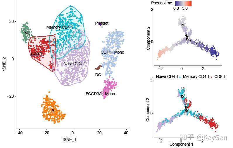 Monocle分析，一键教程。快速上手。 - 知乎