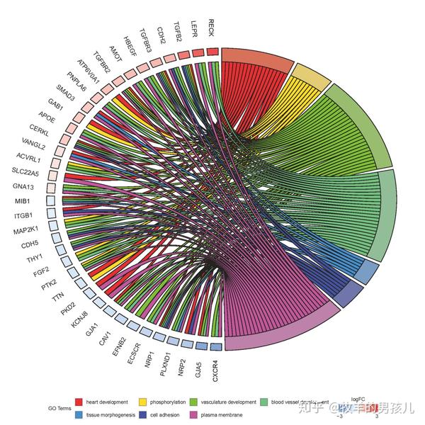 GO富集分析可视化：R语言GOplot包 - 知乎
