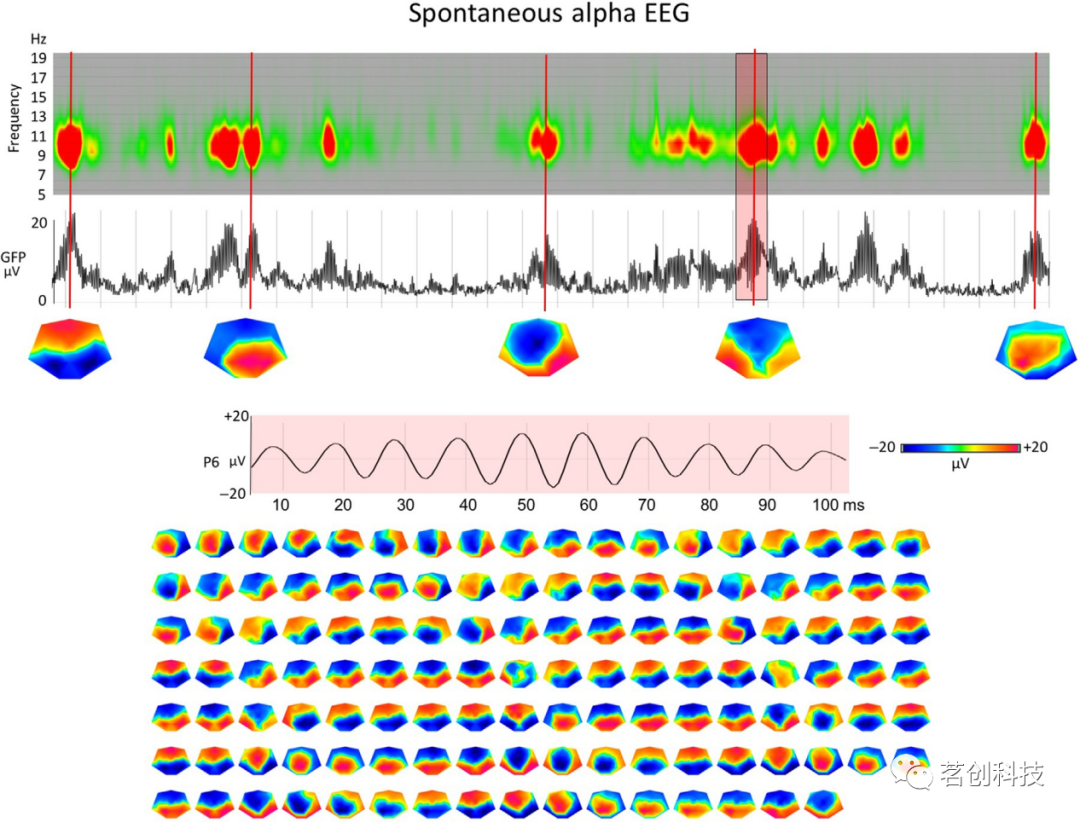 高分辨率EEG的空间分析 - 知乎