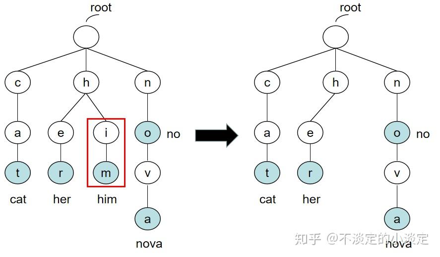 什么是 Trie 树 - 知乎