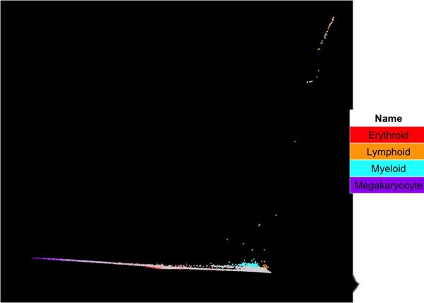 SingCellaR代码实操（四）：多样本单细胞数据整合下游分析 - 知乎