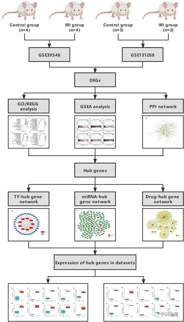 4+ 非常经典的hub基因鉴定路线 - 知乎