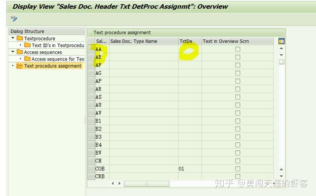 SAP SD基础知识之文本确定（Text Determination） - 知乎