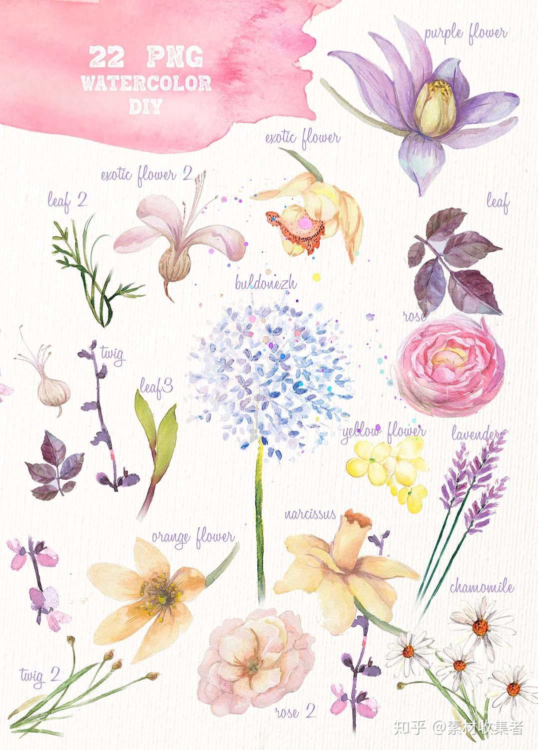 创意水彩植物花朵花圈手绘背景图案纹理a Fresh spring florals - 知乎
