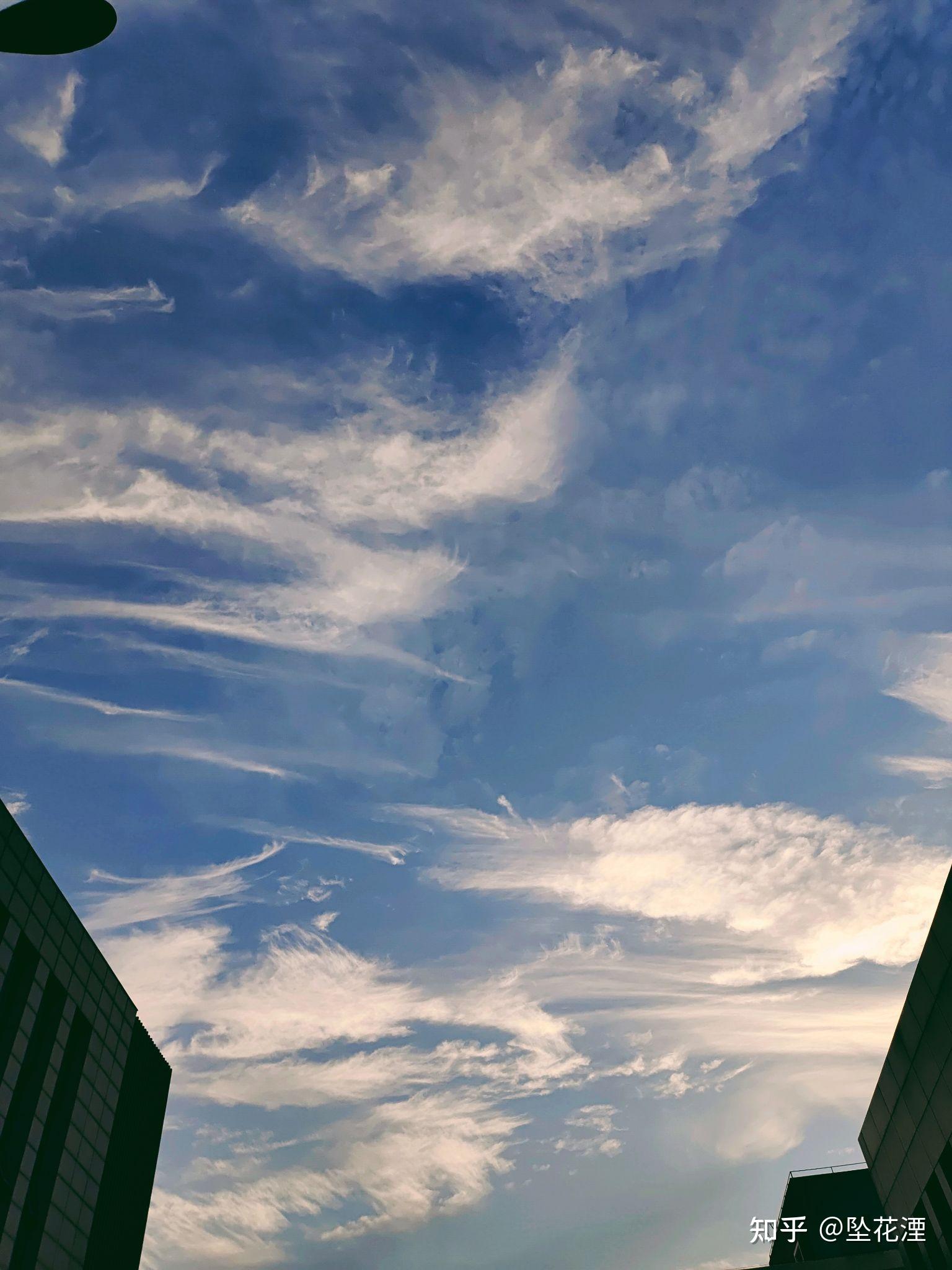 秋词秋霞秋的天 - 知乎