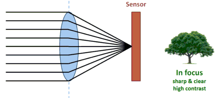 Understanding Auto Focus - 知乎