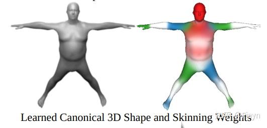 论文随记 | SNARF: Differentiable Forward Skinning for Animating Non-Rigid ...