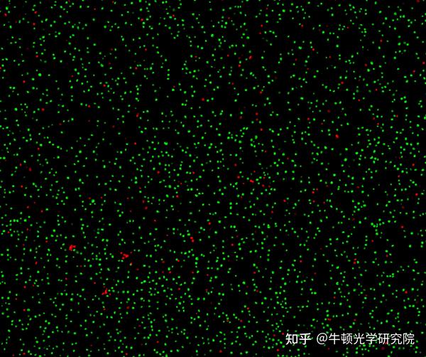【细胞解读系列】K562细胞——癌症研究中的秘密武器 - 知乎