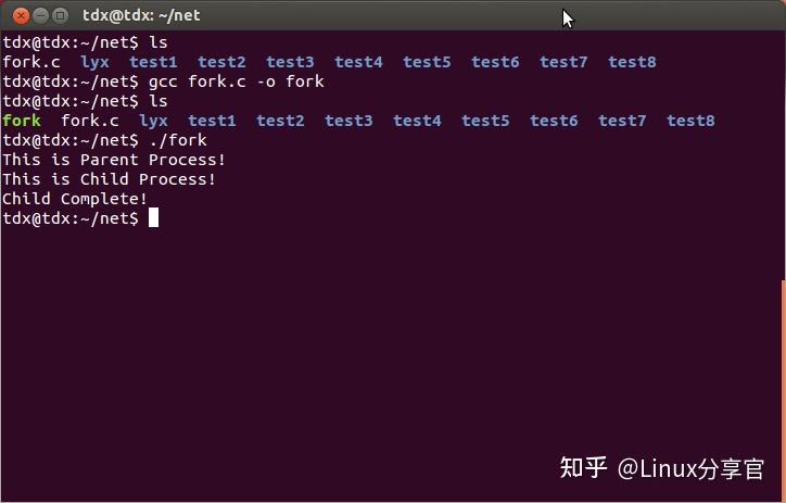 进程系统调用——fork函数深入理解(代码演示) - 知乎