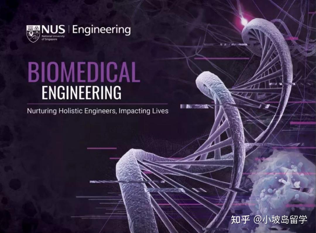 新加坡留学NUS学院速览 | 设计与工程学院 - 知乎