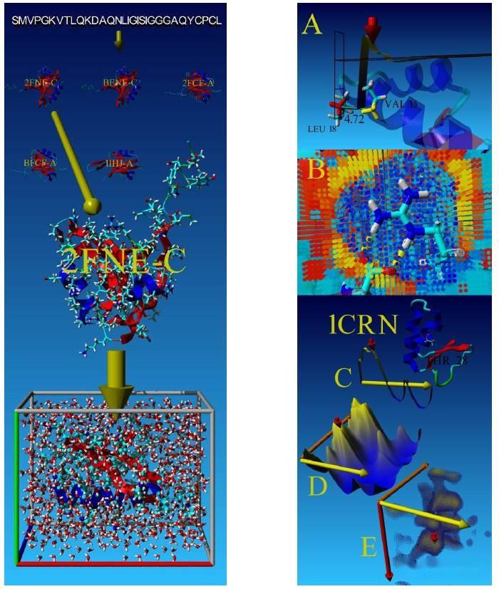 YASARA综合分子模拟软件简介 - 知乎