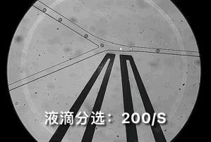 天木生物DREM cell设备助力中国农大、清华大学完成蜜蜂肠道微生物单细胞高通量培养，实现菌株级别功能多样性研究 - 知乎