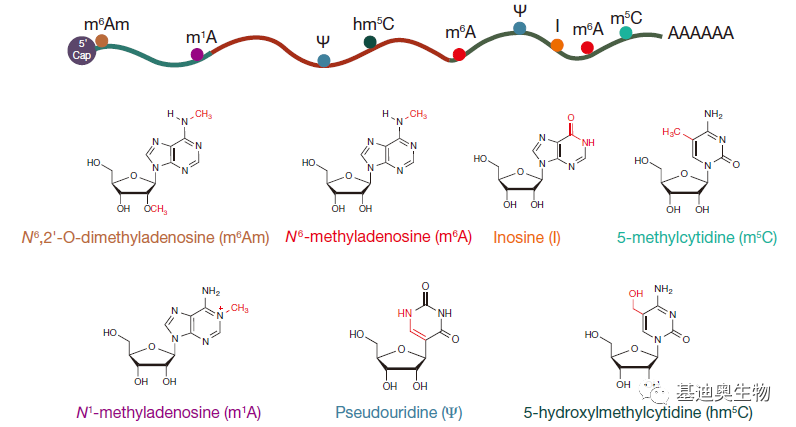 转录组与m6A修饰关联图形解析 - 知乎