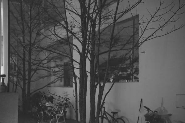 当代建筑059|HOUSE N |藤本壮介 - 知乎