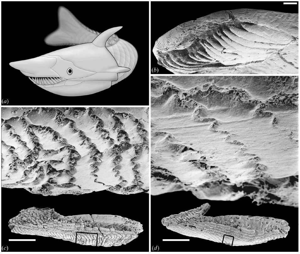 【地球演义】甲胄记（下）：Masked Ball - 知乎