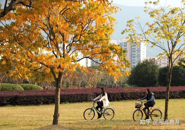 扬州大学、温州大学、广州大学、常州大学，谁的综合实力更强？ - 知乎