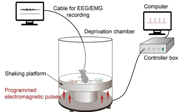 Bio-protocol | 2023年2月20日最新上线实验方案目录 - 知乎