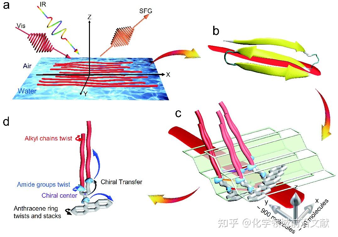 中科院化学所张贞课题组Nat. Commun:发展界面超分子手性传递分子机理研究新方法 - 知乎