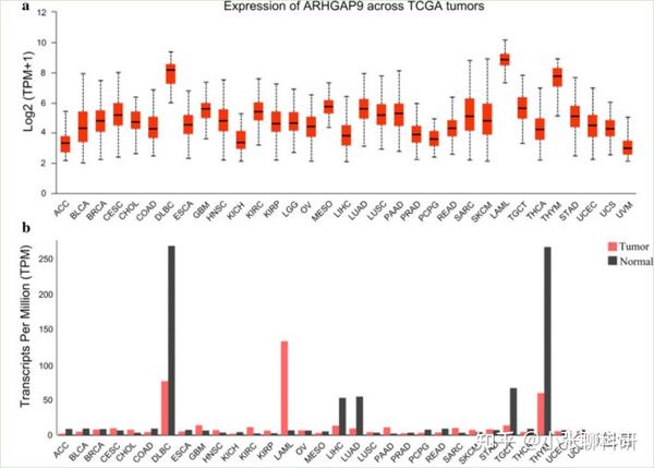 生信实操丨是的你没看错！0代码复现4分生信文章的7图1表 - 知乎