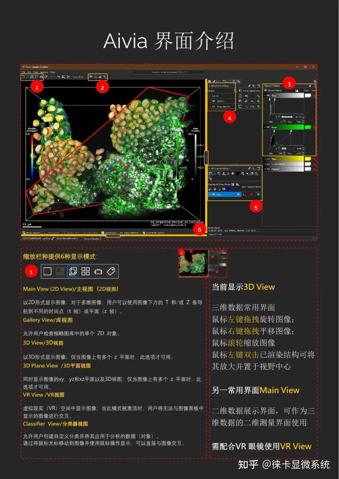 掌握Aivia！快速入门使用指南 - 知乎