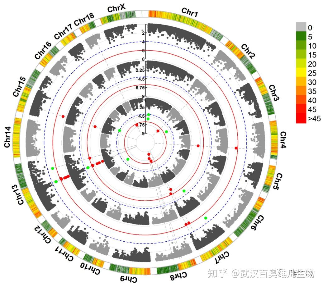 R语言|CMplot包绘制环形曼哈顿图 - 知乎