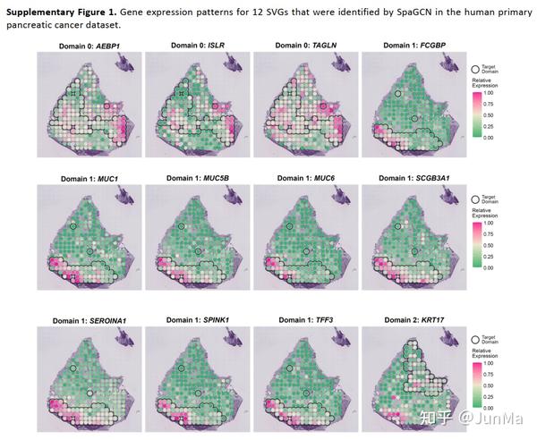 202110-Nature Methods-SpaGCN学习笔记 - 知乎