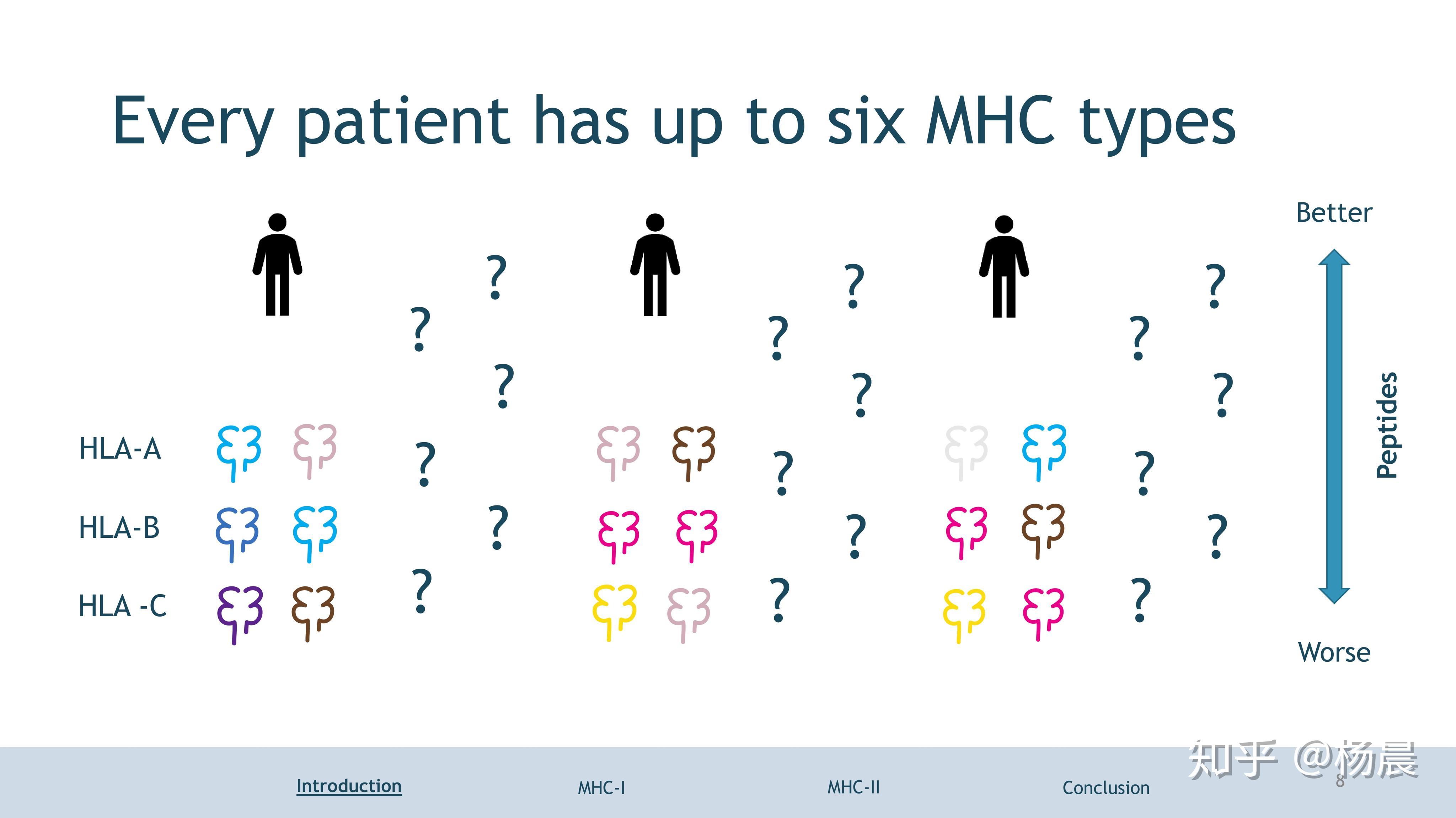 MHC在肿瘤发展过程中的作用 - 知乎