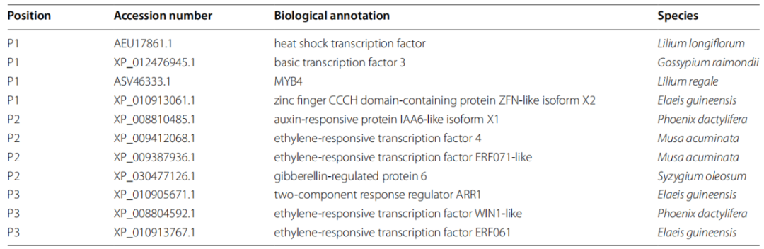 转录因子研究套路（三） - 知乎