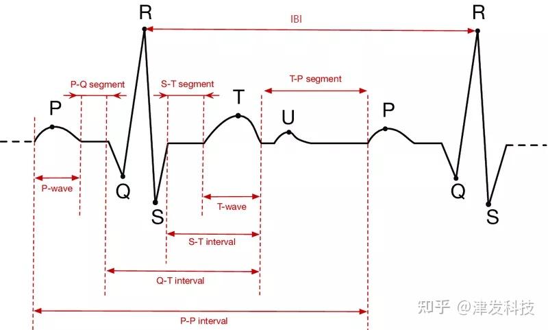 【津发科技】ErgoLAB-HRV分析与常用指标 - 知乎