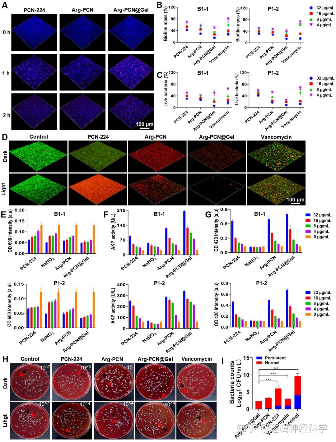 Sci Adv︱华中农业大学谢书宇/陈冬梅团队构建协同光动力和营养免疫的复合纳米系统在耐甲氧西林金黄色葡萄球菌生物被膜的高效精准治疗取得进展 - 知乎