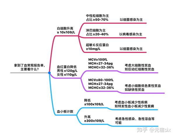 如何看懂自己的「血常规」,各项指标有什么意义?