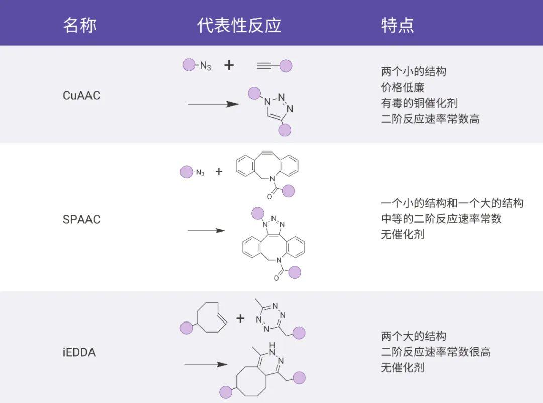 靶向治疗！获诺奖的 “点击化学” 原来可以这么用 - MedChemExpress - 知乎