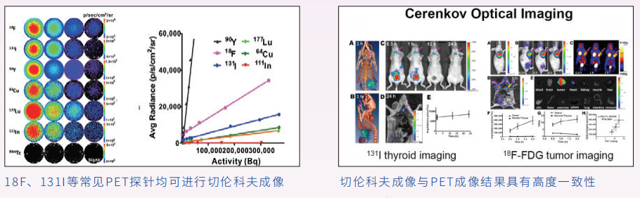 IVIS Spectrum CT成像系统——一切显而易见 - 知乎