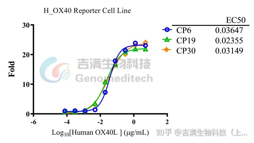 OX40/OX40L：横跨炎症、自免、肿瘤的全能选手 - 知乎