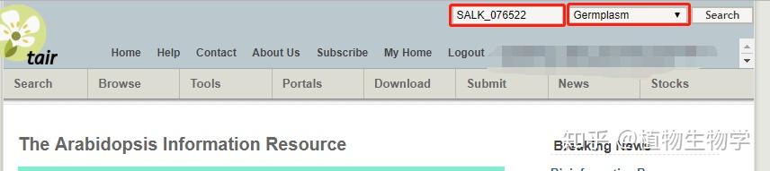 拟南芥种子订购详细攻略-TAIR-ABRC篇 - 知乎