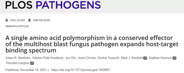 PLOS PATHOGENS | 塞恩斯伯里实验室研究揭示多宿主稻瘟病菌毒力因子的适应性进化机制！ - 知乎
