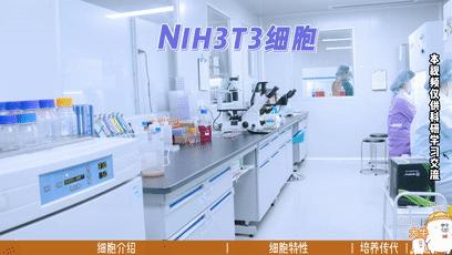 NIH3T3细胞培养，小鼠胚胎成纤维细胞培养攻略 - 丰晖生物 - 知乎