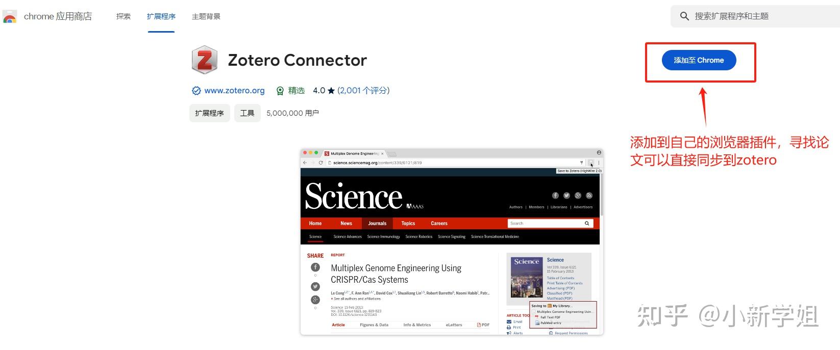 吐血整理 ，最快配置zotero入门教程——小白必备 - 知乎
