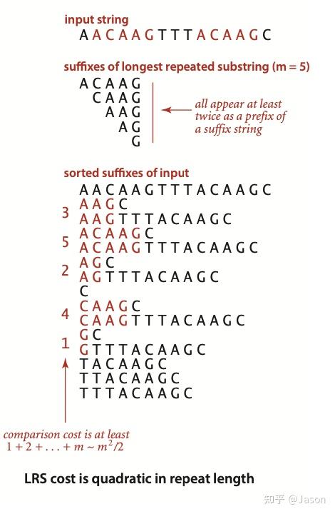 Chapter 6. Context -- Suffix sort solution - 知乎