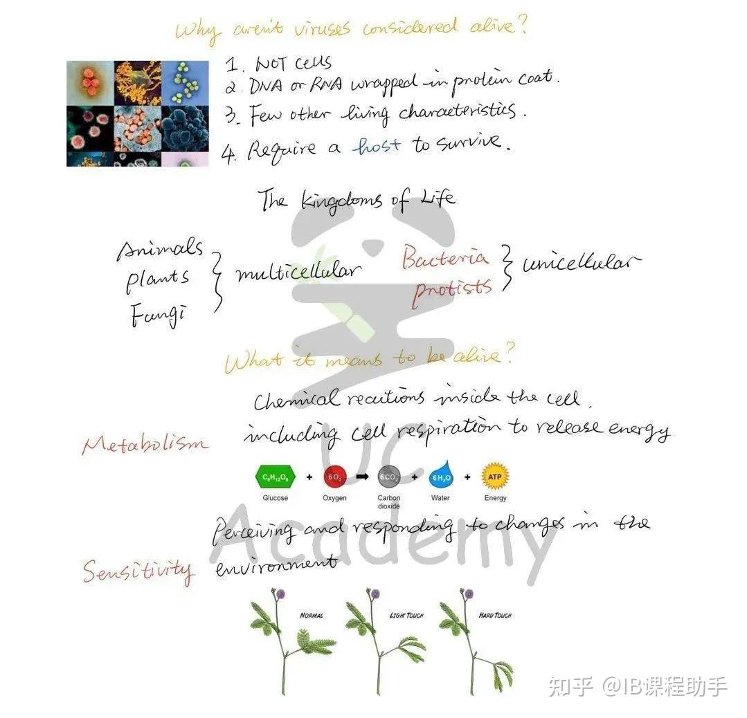 Ib生物笔记：细胞学说 知乎
