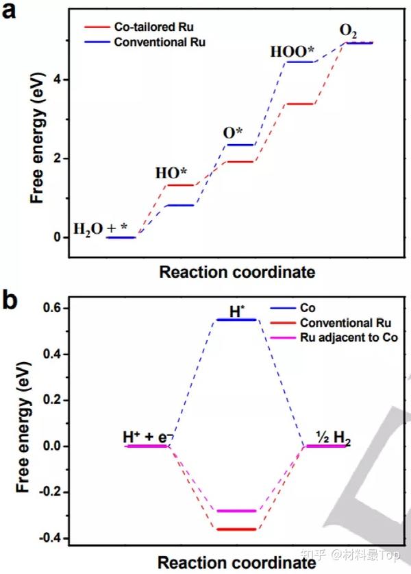 清华陈晨团队Angew：球状RuO2负载单原子Co，双功能催化析氢与析氧！ - 知乎